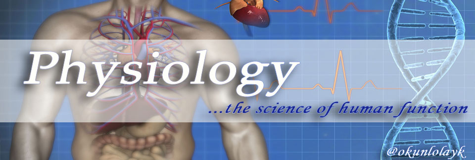 PHYSIOLOGY: The Science of Human Function — Steemit
