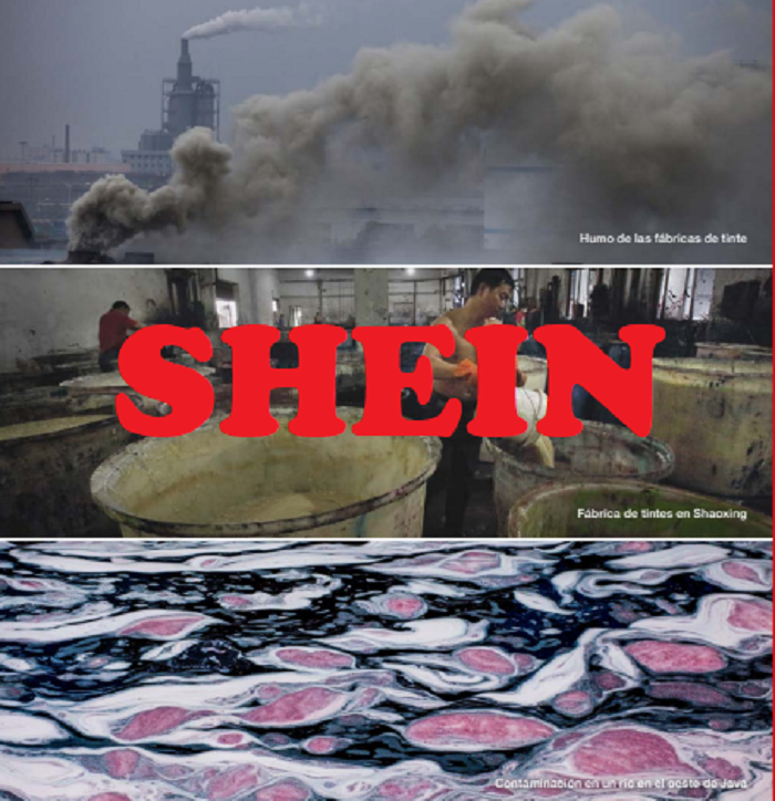 SHEIN, the fast fashion empire that sells toxic clothing and pollutes ...