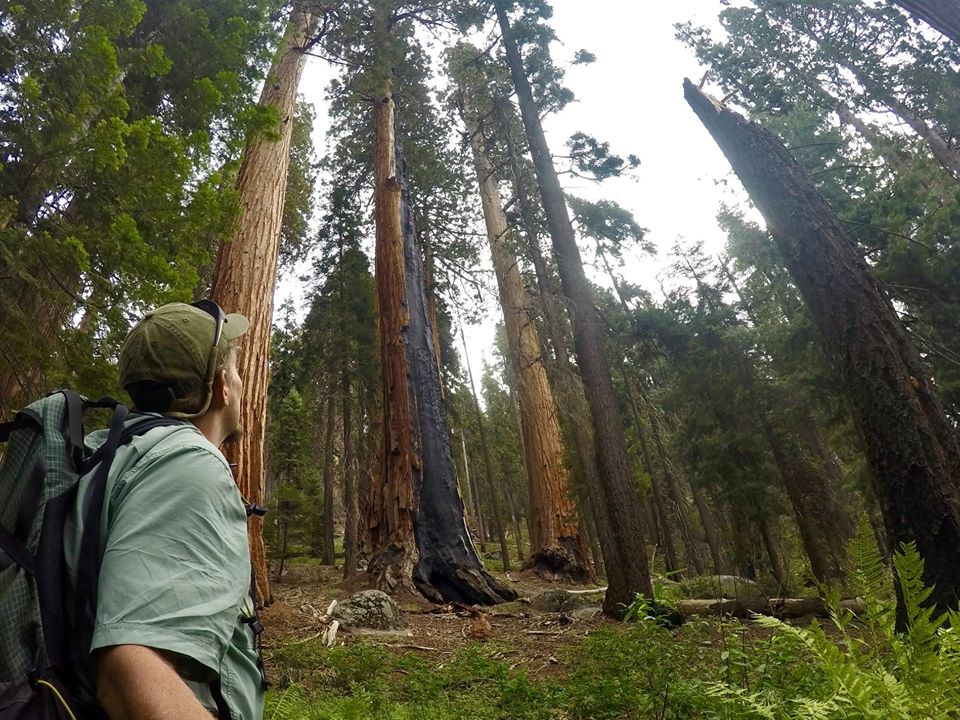 My California - Atwell Grove, Paradise Peak, and the Amph... | Minds