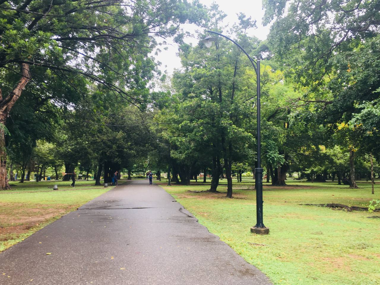 Viharamahadevi Park New Look