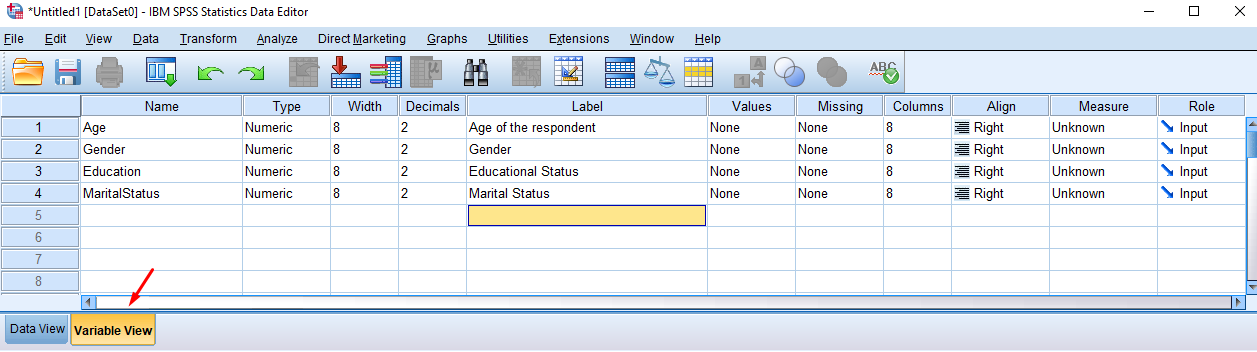 What is SPSS and SPSS Windows