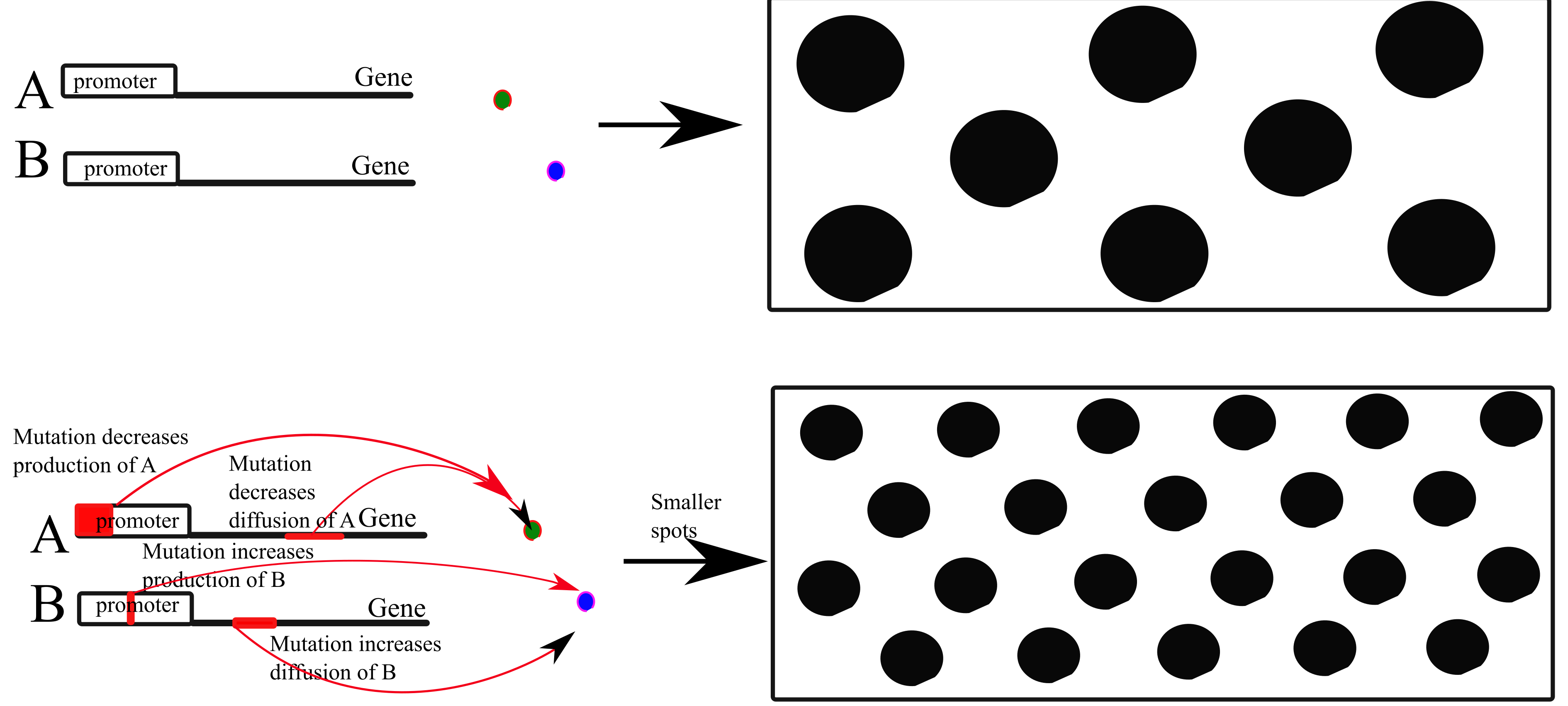How unique are you? The science of individual differences. – scienceblocks