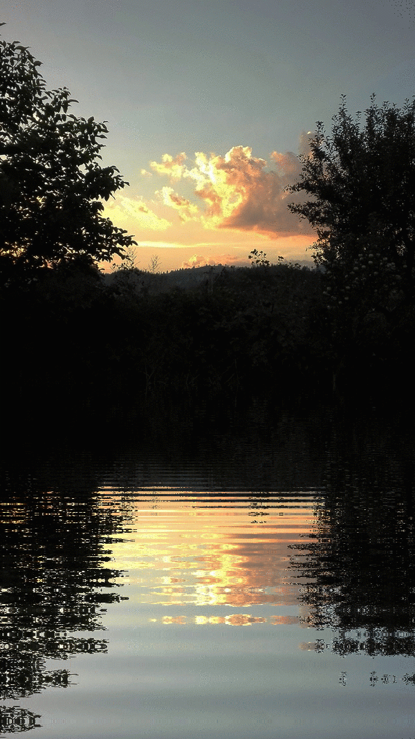 Ripple Effect Gif