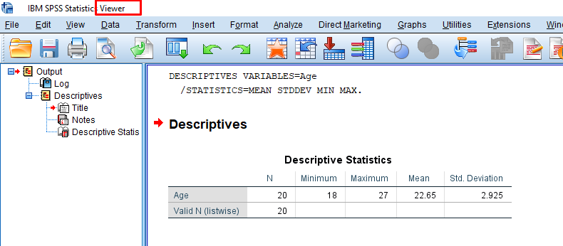 What is SPSS and SPSS Windows