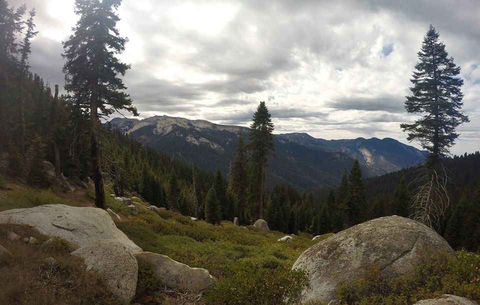 My California - Atwell Grove, Paradise Peak, and the Amph... | Minds