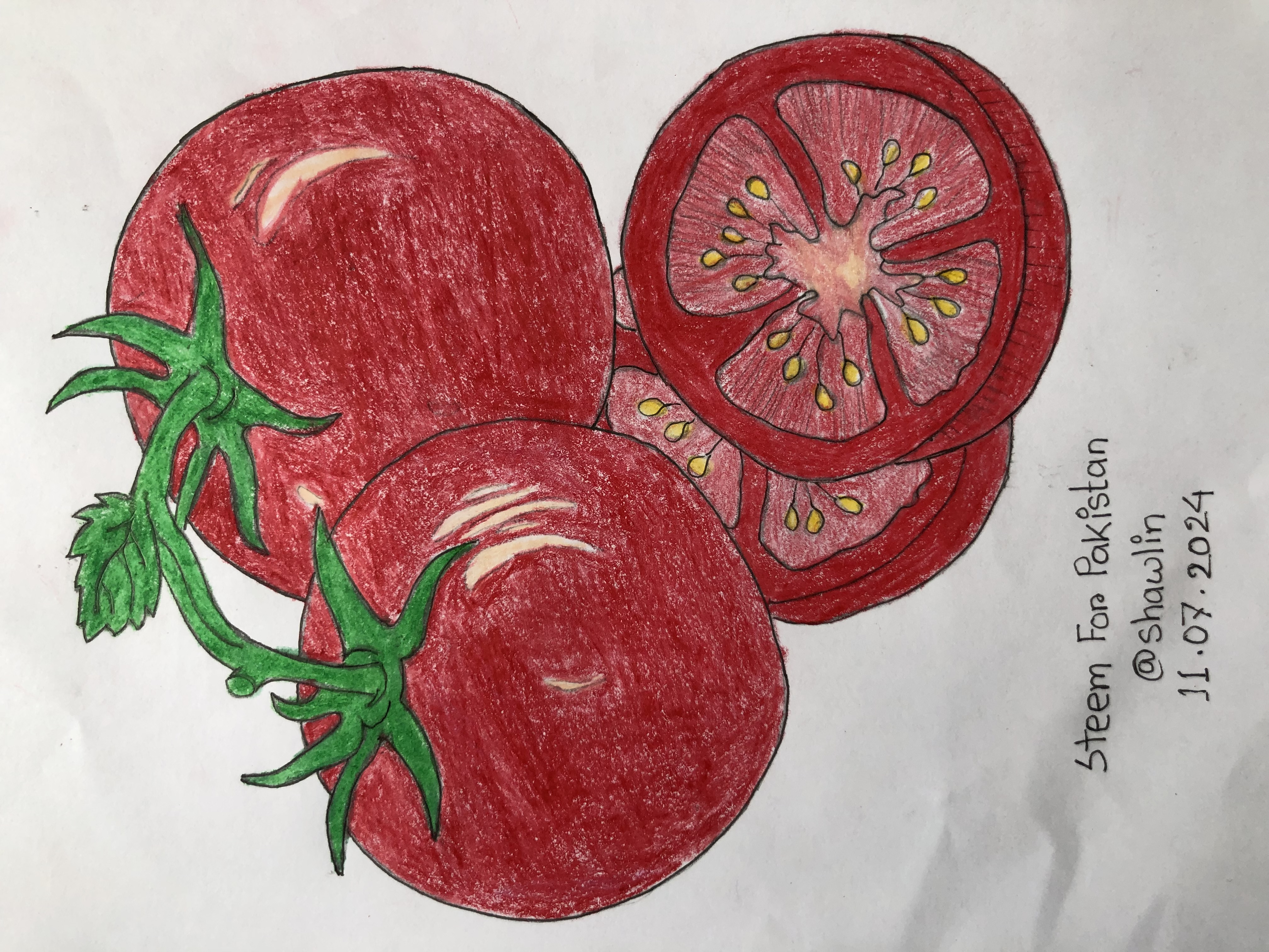Kamatis Drawing Tomato Vector Images | Depositphotos
