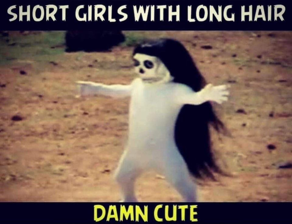 Short Girls Meme