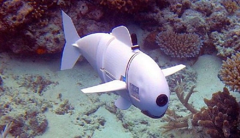 SoFi - The Soft Robotic Fish | Steemhunt