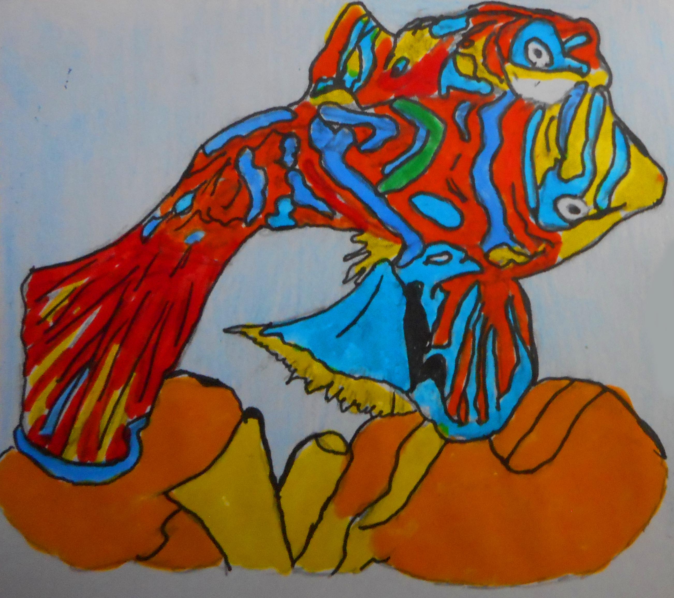 Mandarin Fish Drawing